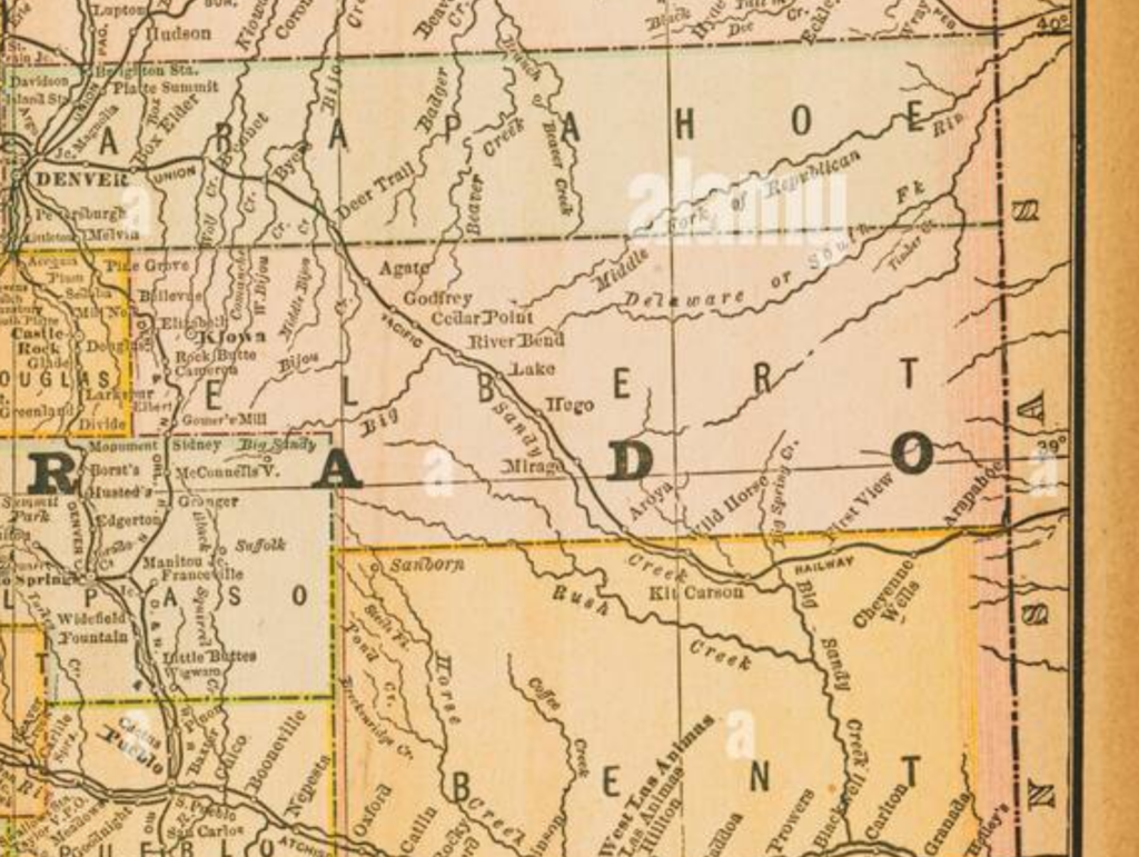 Moose - Comanche Wilderness Outfitters