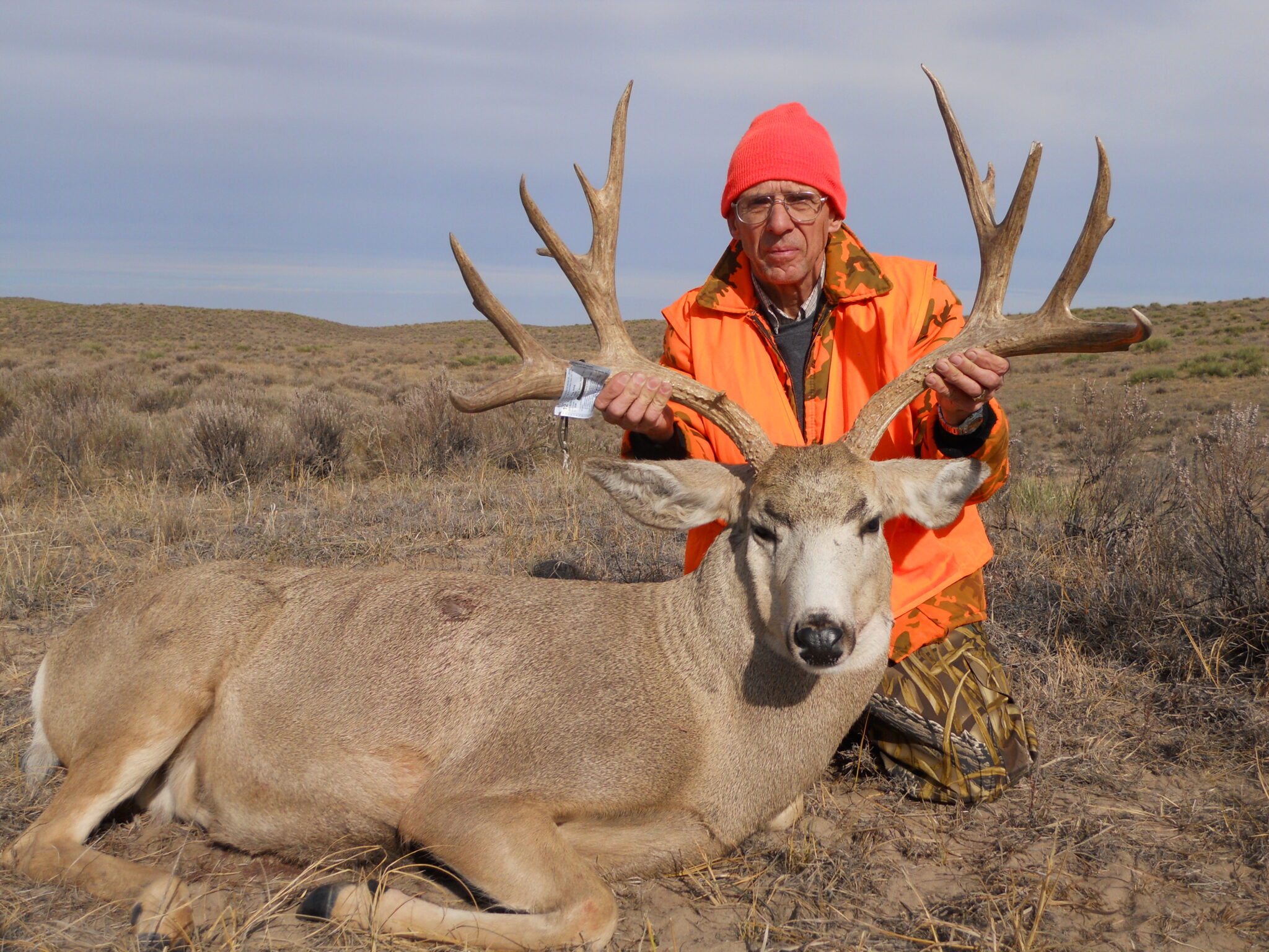 Plains Deer - Comanche Wilderness Outfitters