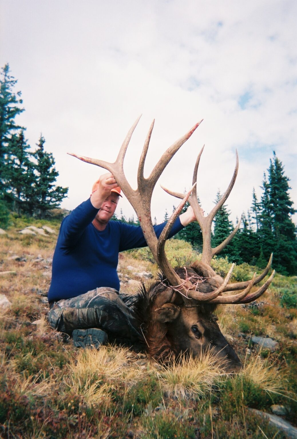 Wilderness Guided Elk - Comanche Wilderness Outfitters