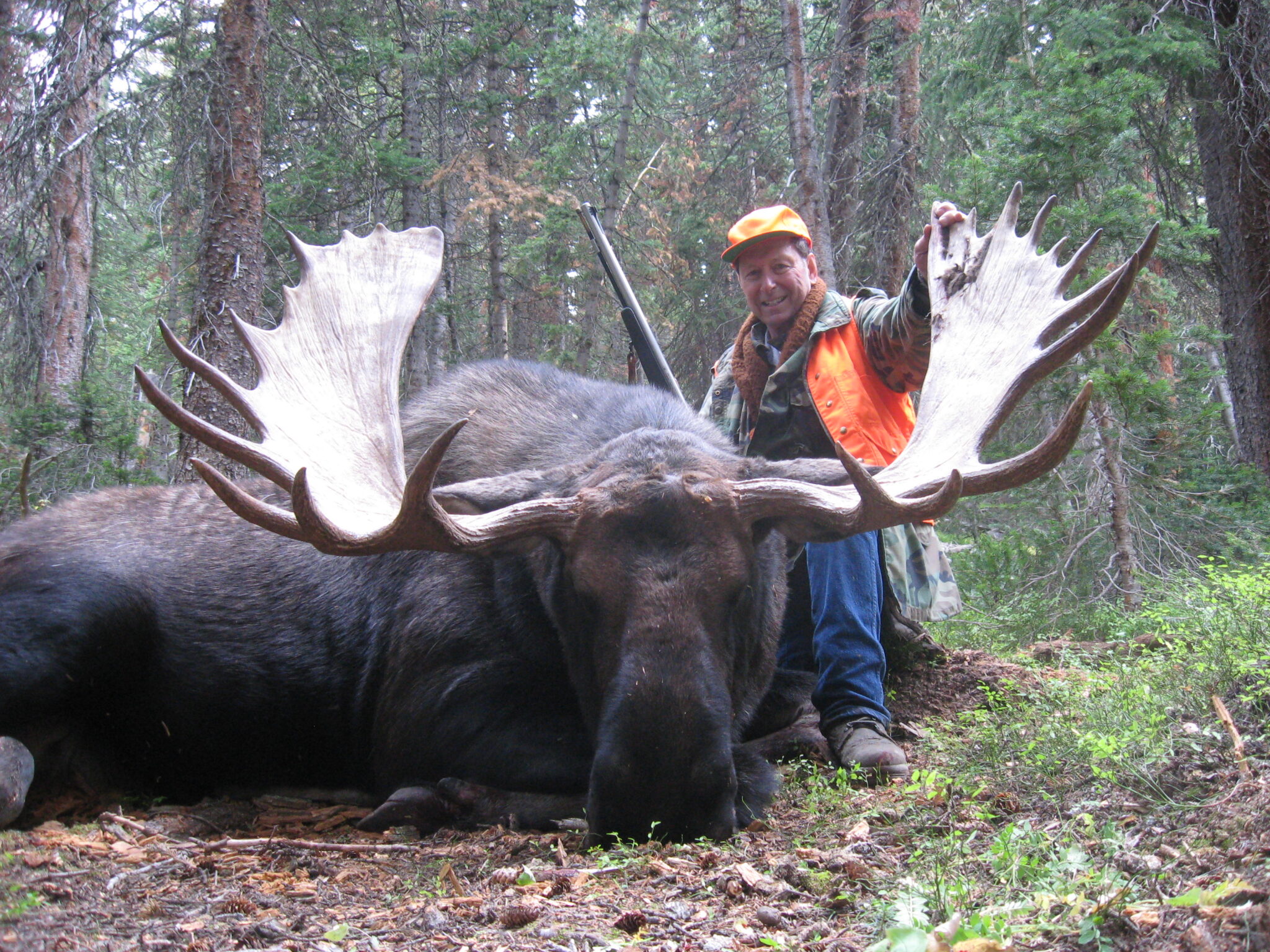 Moose - Comanche Wilderness Outfitters