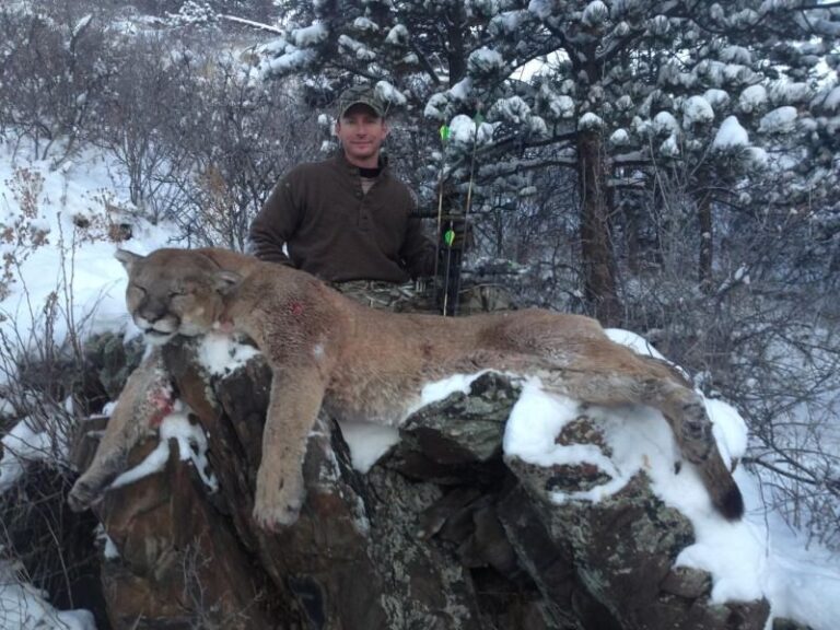 Mountain Lion - Comanche Wilderness Outfitters
