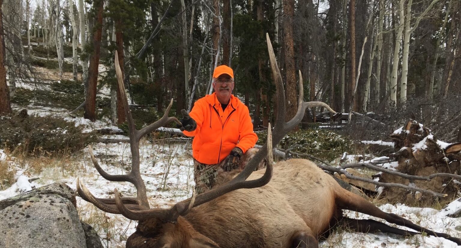 Wilderness Guided Elk - Comanche Wilderness Outfitters